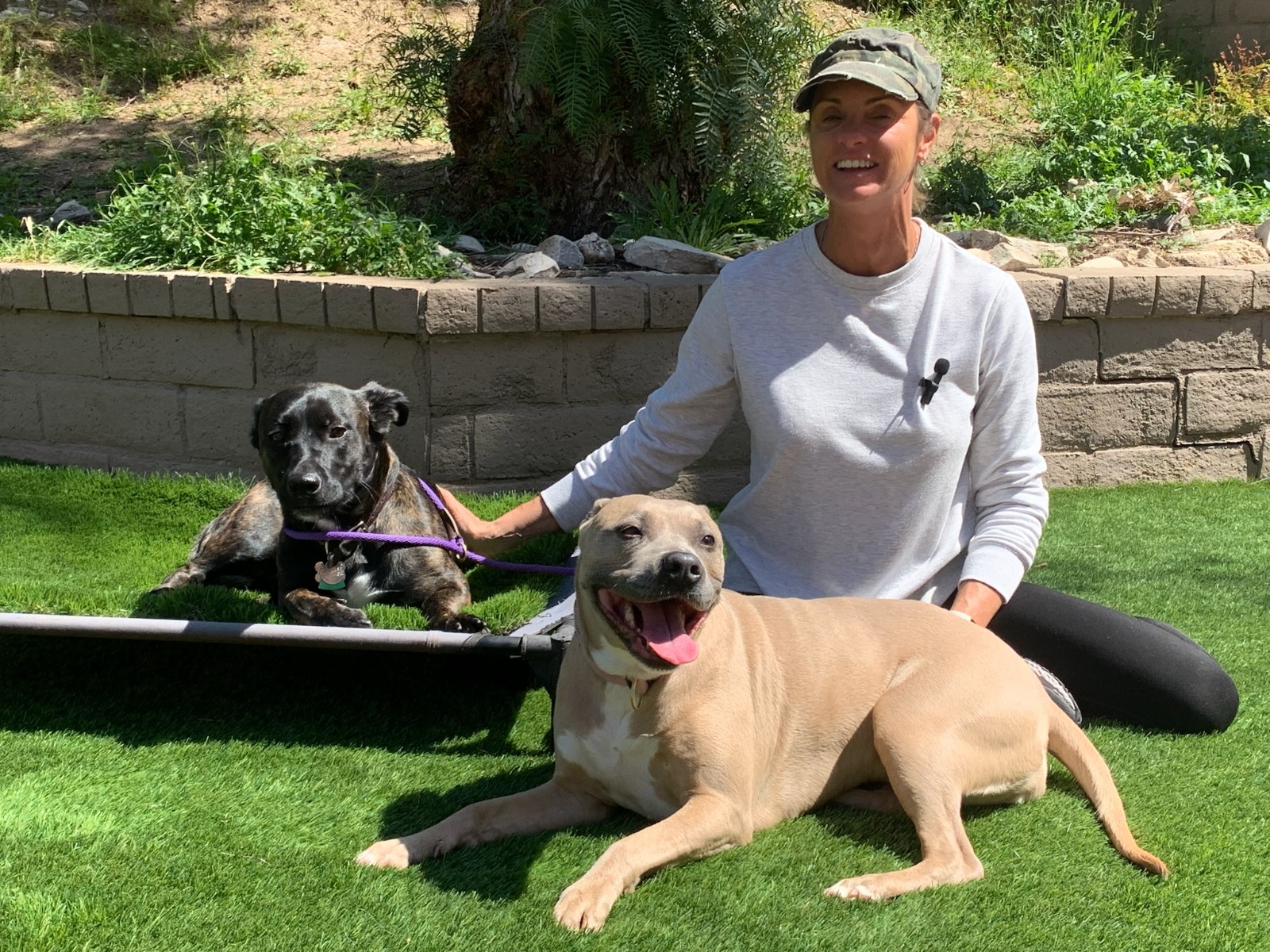 Training and Touch - A Dog's Life with Lia